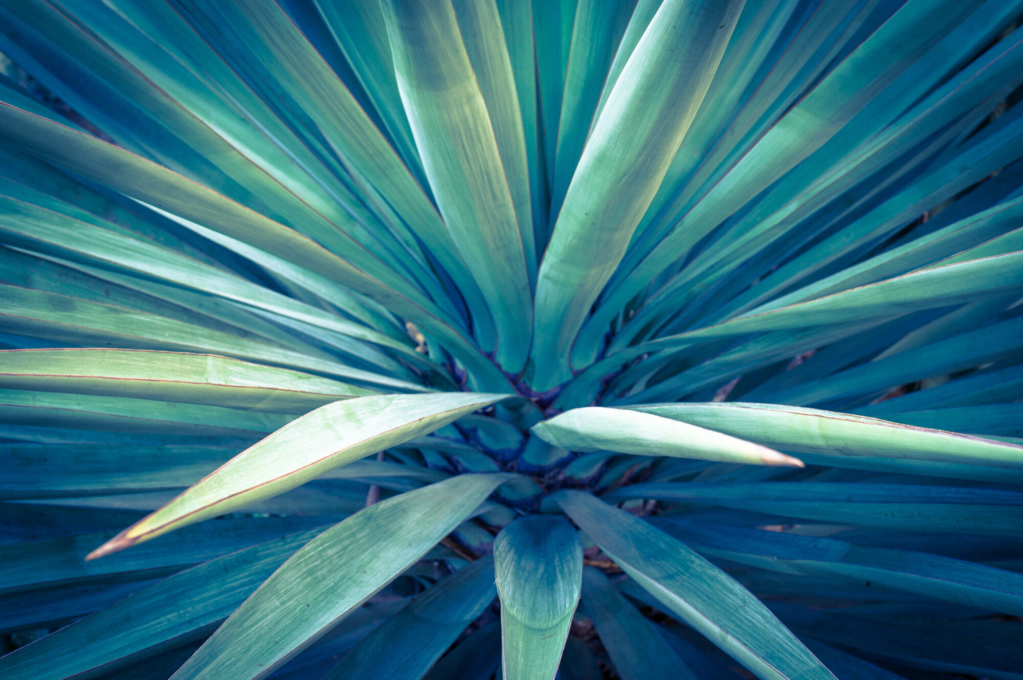 Locations - Agave Title & Escrow